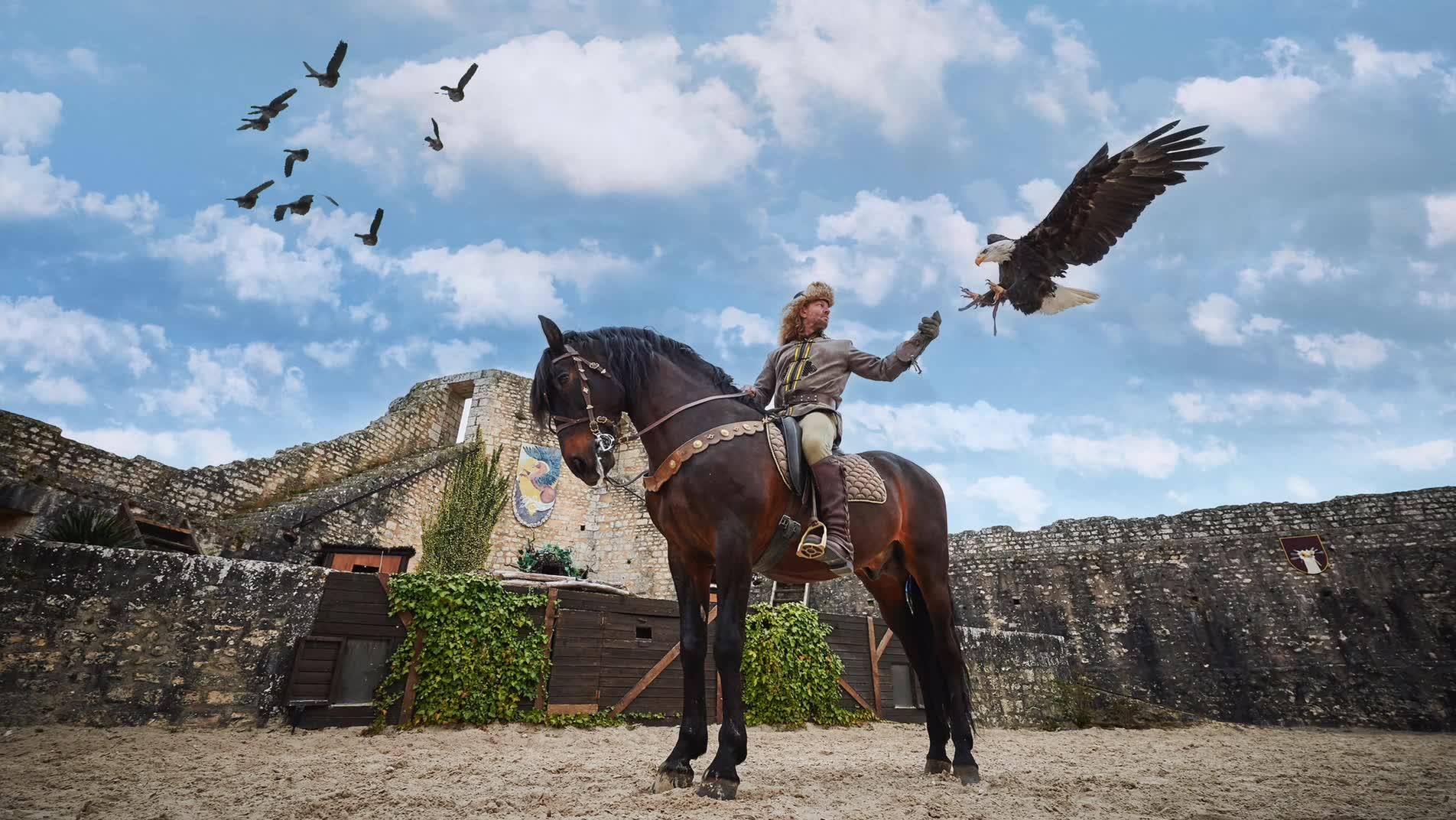 Les Aigles des Remparts à Provins : spectacle en famille - Citizenkid