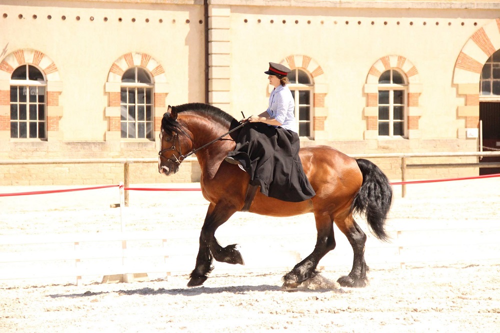 Équivallée - Haras national de Cluny : spectacle équestre en famille ...