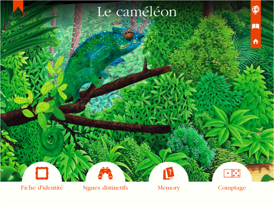 Appli enfant : les animaux de la jungle - application Android et iPad ...