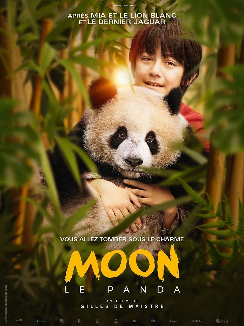 Moon le panda : film d'aventure en famille au cinéma - Citizenkid