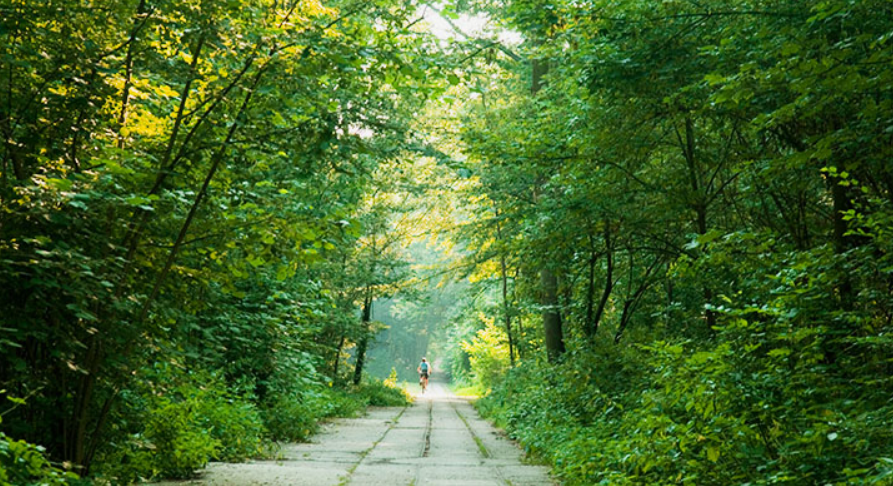 Parc forestier de la Poudrerie de Sevran - Citizenkid