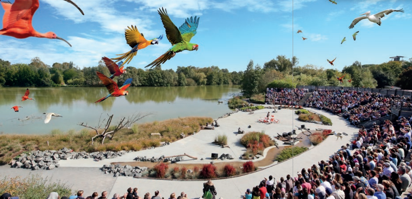 Dombes : une journée en famille au Parc des Oiseaux - Citizenkid