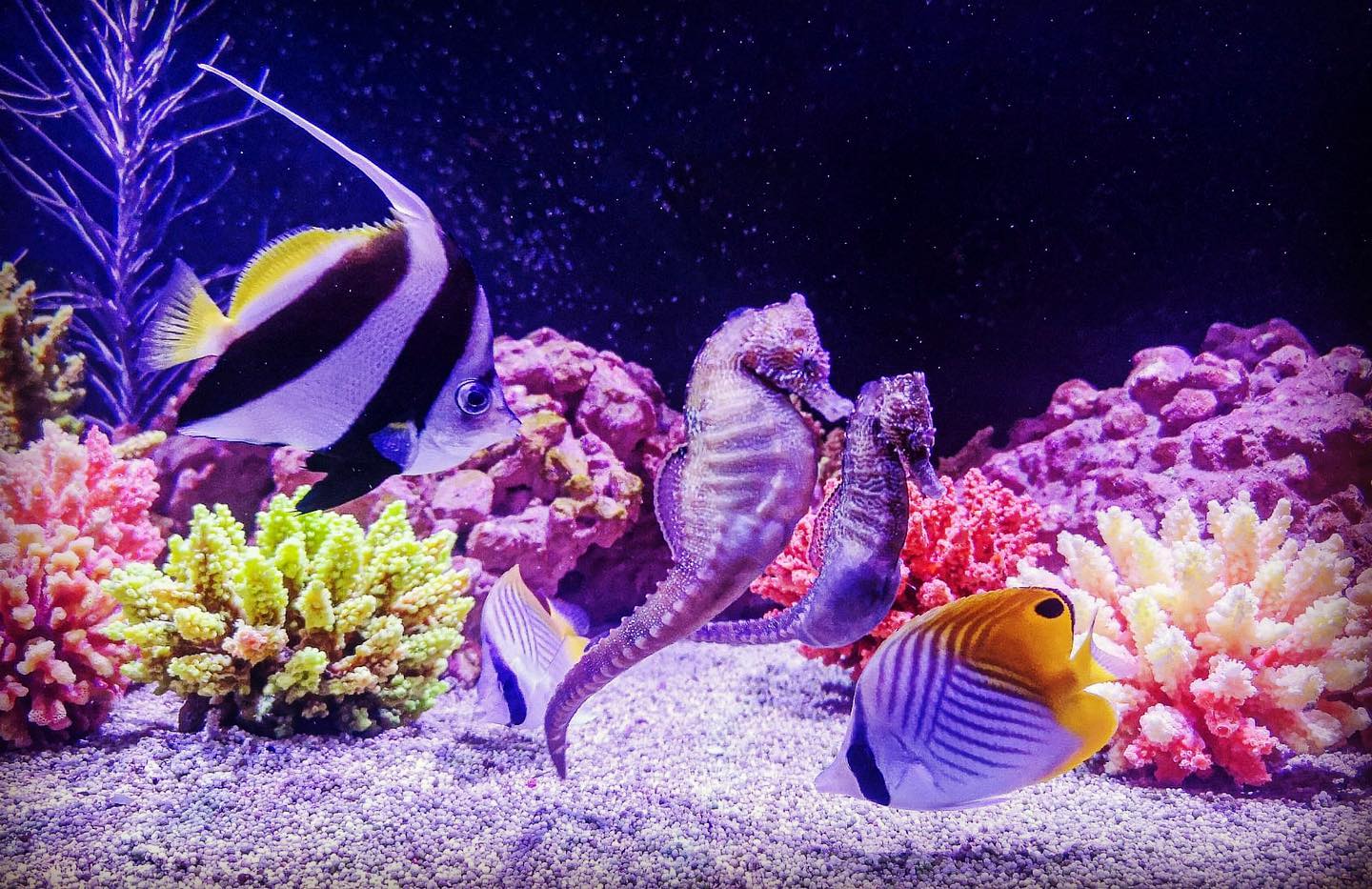 Aquarium d'Amnéville, visite à faire avec les enfants - Citizenkid