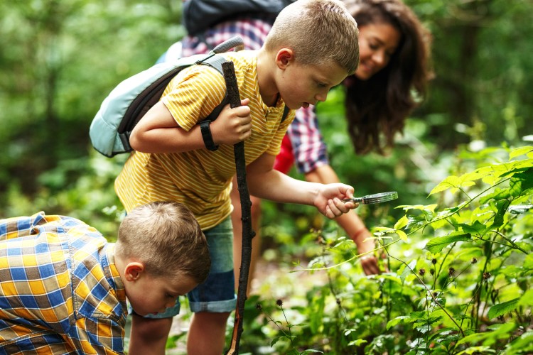 Notre top 8 des activités nature pour les enfants - Citizenkid