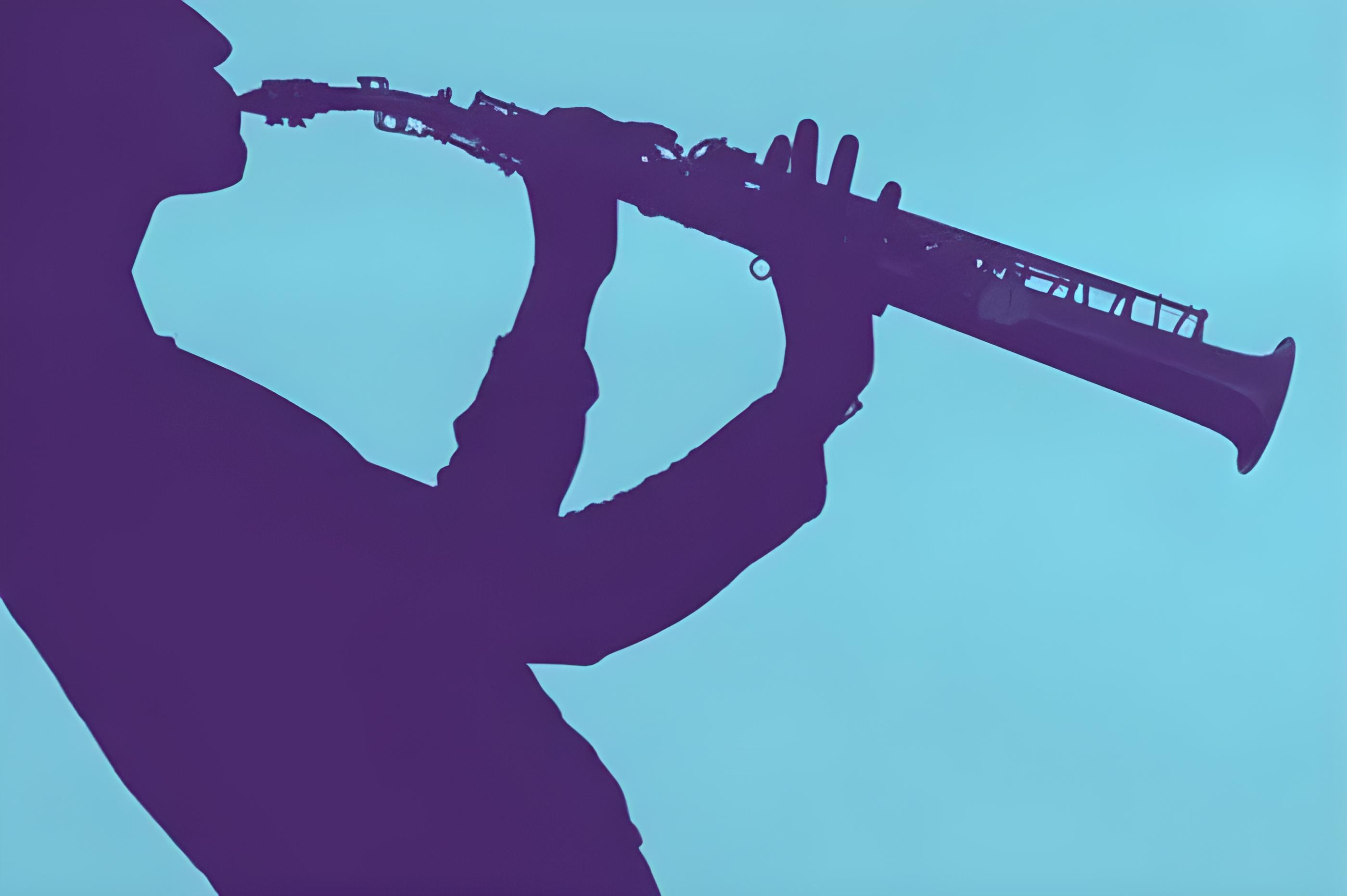 Piccolo, Saxo et Compagnie par l'Orchestre Symphonique de Gironde ...