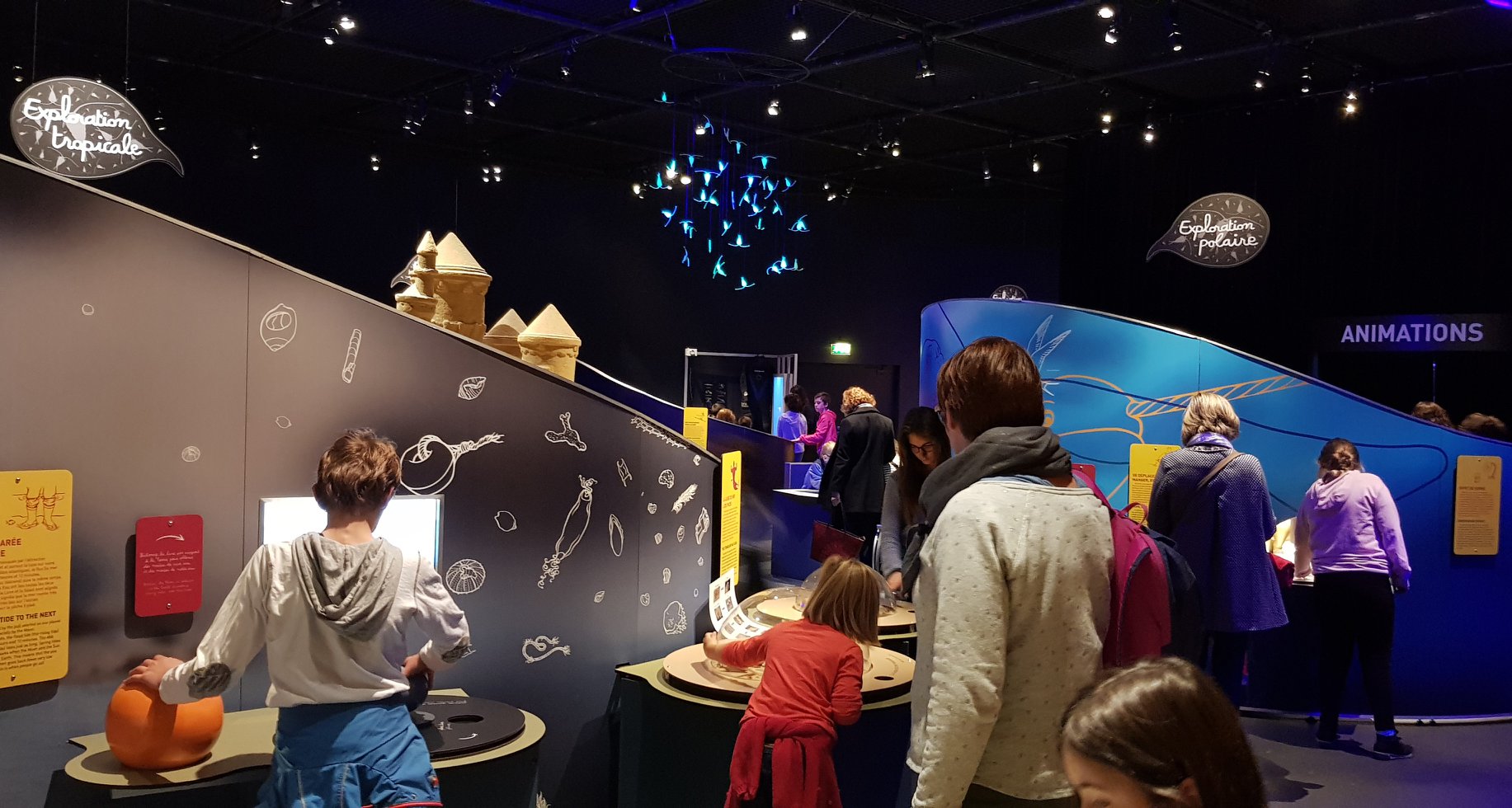 L'Espace des Sciences à Rennes : visite et ateliers en famille - Citizenkid