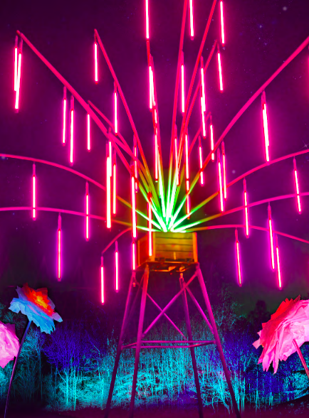 Les Sentiers Lumineux de Noël : parcours immersif Paris - Citizenkid