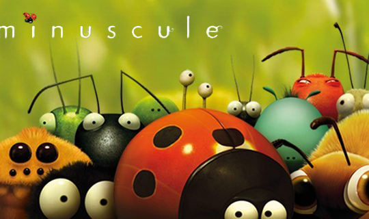 10 dvd de la série d'animation "Minuscule" - Citizenkid