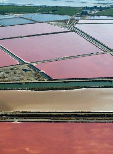 Les salins roses d'Aigues-Mortes, curiosité naturelle à voir en famille ...