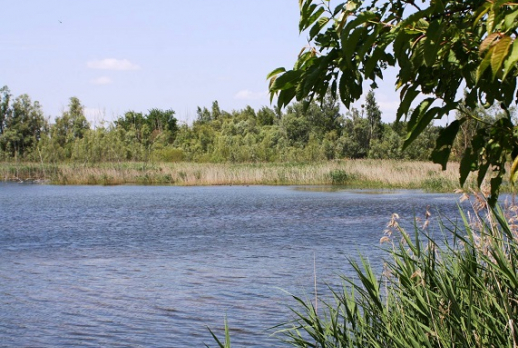 Base de loisirs de Jablines-Annet : baignade en famille Paris - Citizenkid
