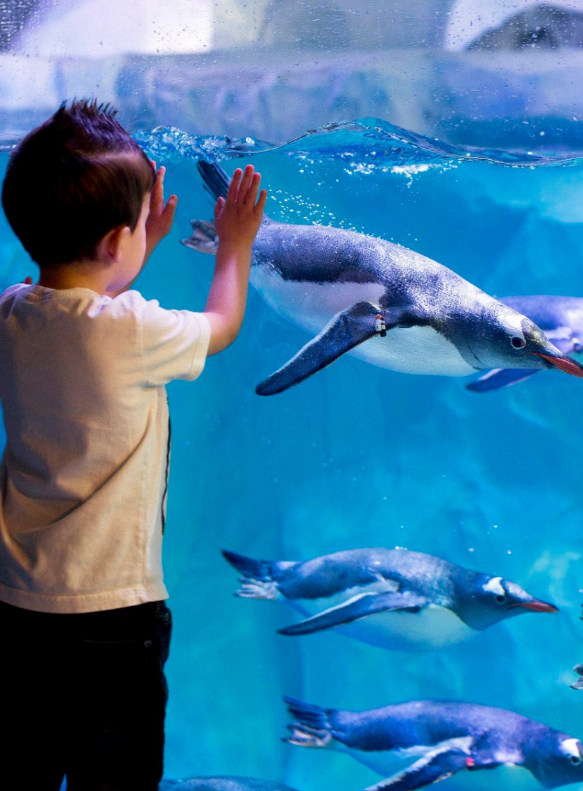 Aquarium SEA LIFE Paris - Val d'Europe en famille - Citizenkid