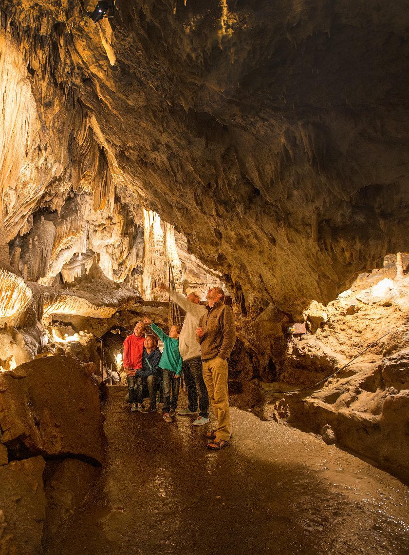 Domaine des Grottes de Han : visite en Belgique et parc animalier ...