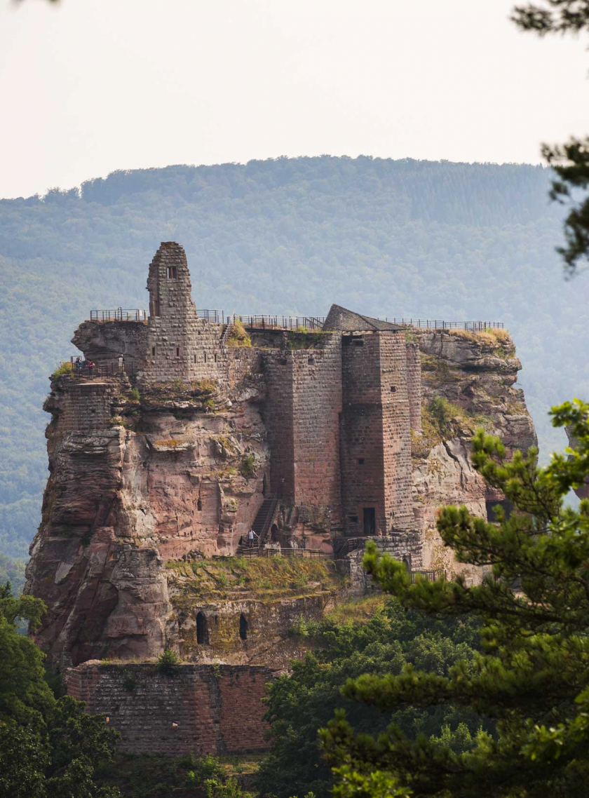 Château de Fleckenstein : visite du château fort, jeu de piste pour ...