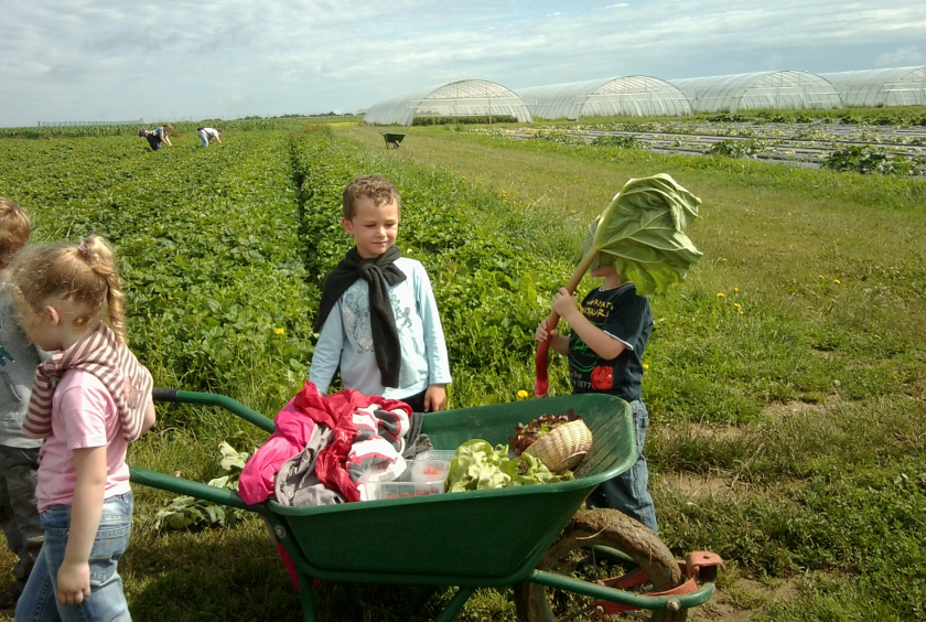 Le top des cueillettes à faire en famille près de Paris - Citizenkid