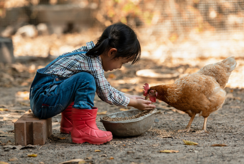 Top des fermes pédagogiques de Paris avec les enfants - Citizenkid