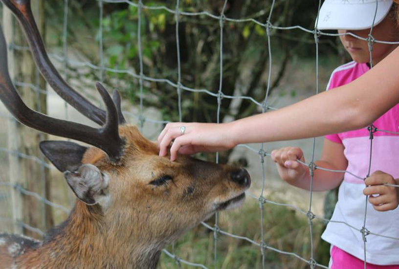 Legendia Parc : parc animalier à découvrir en famille avec des ...