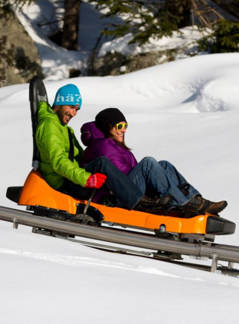 Speed Luge Vercors : piste de luge 4 saisons pour enfants et familles à ...