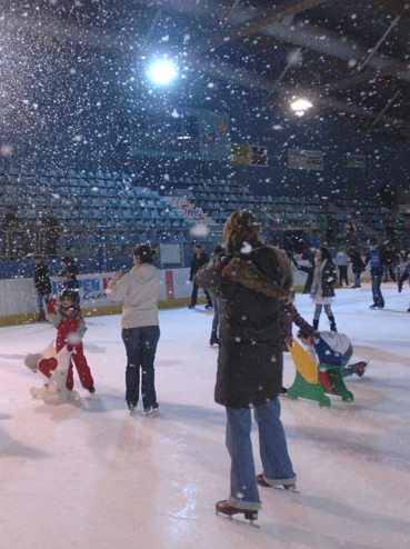Patinoire Végapolis : piste de glace ludique et sportive pour toute la ...