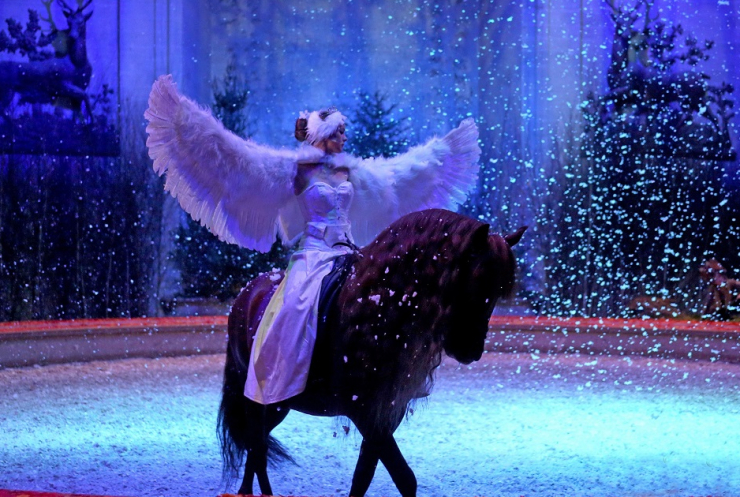 Où voir des spectacles équestres en famille en France ? - Citizenkid