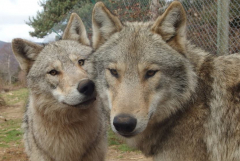 Sortie enfant Marseille, sélection d’activités et de sorties en famille ...