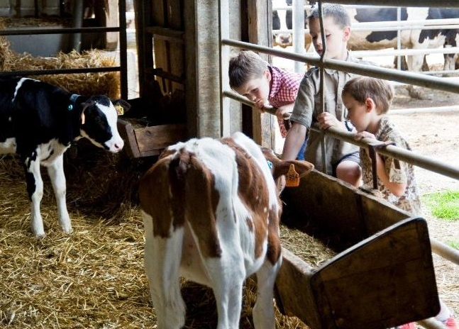 Top des fermes pédagogiques de Paris avec les enfants - Citizenkid