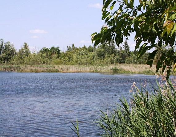 Base de loisirs de Jablines-Annet : baignade en famille Paris - Citizenkid