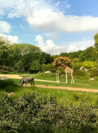 Zoo de Lyon au Parc de la Tête d'Or : visite en famille dans les ...