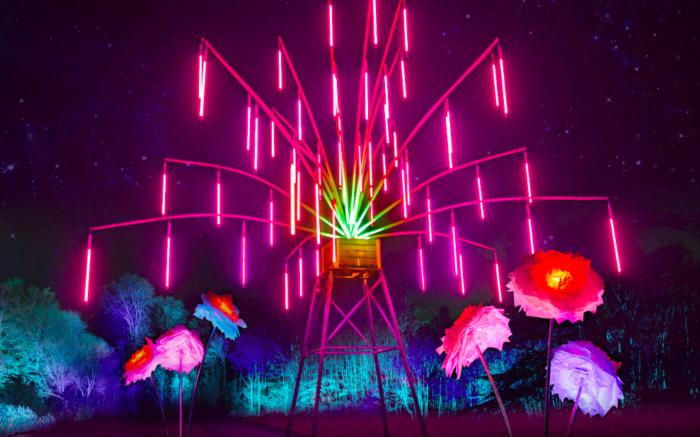 Les Sentiers Lumineux de Noël : parcours immersif Paris - Citizenkid